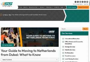 Your Guide to Moving to Netherlands from Dubai: What to Know - Viesearch