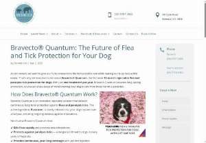 Bravecto Quantum: Flea and Tick Protection for Dogs - Viesearch